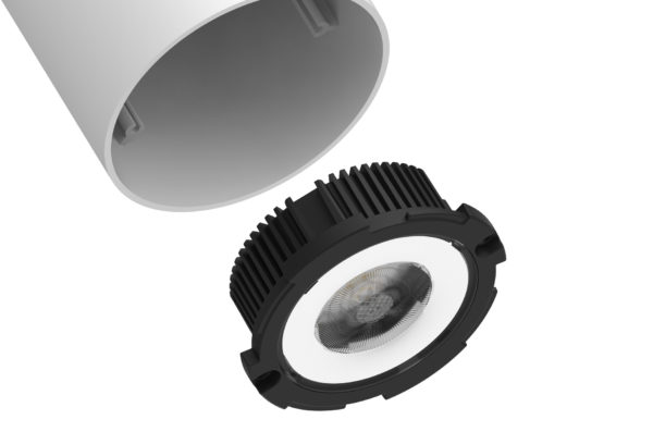 DCC4 Adjustable LED Cylinder | DMF Lighting